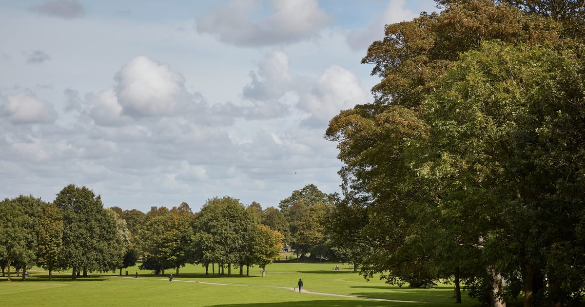 Northbrook Park - Northbrook, IL | about.me