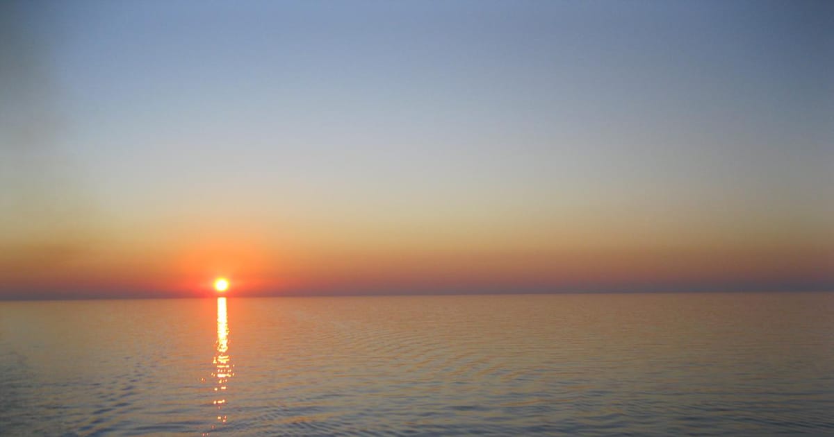 Nancy Witter - Floral Park, NY, Author, Comedian, Life Coach, NYU ...