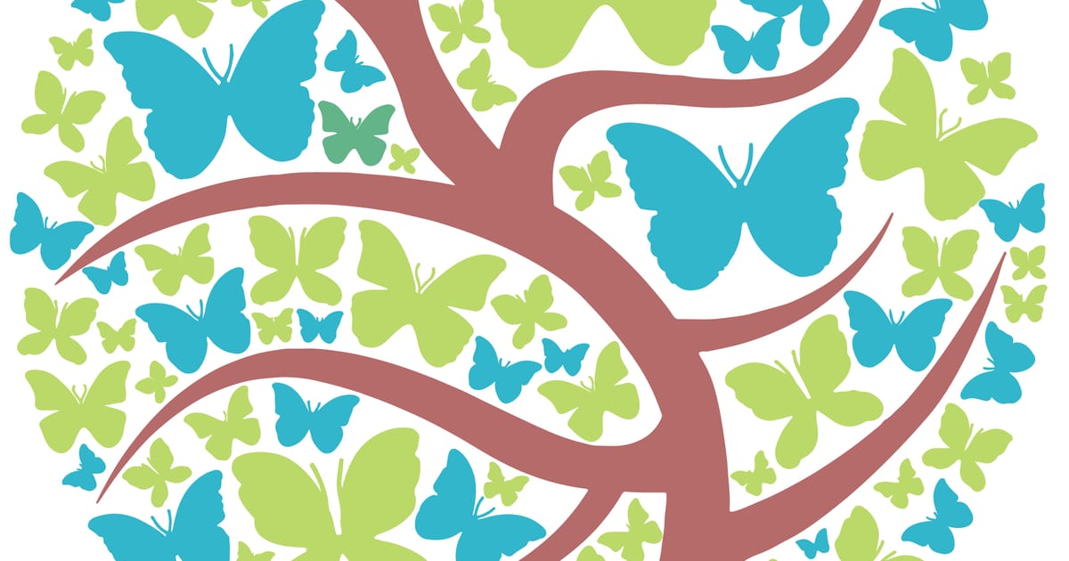 Dr. Jason Neef, MD - Burleson, TX | about.me