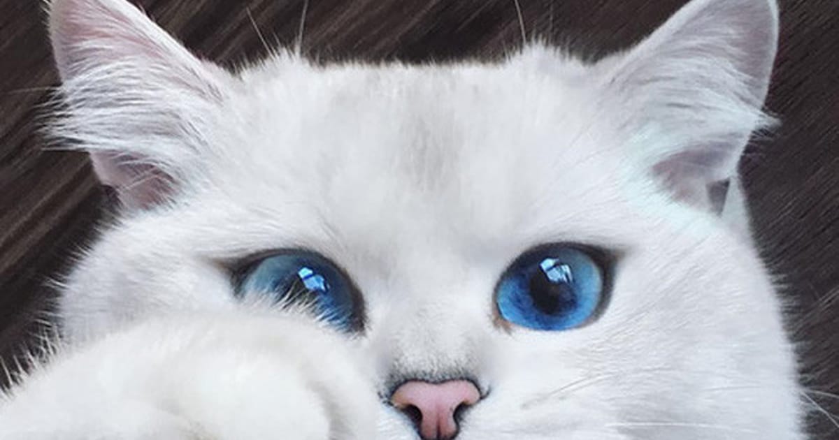 Olin Johnson - Las Vegas | about.me