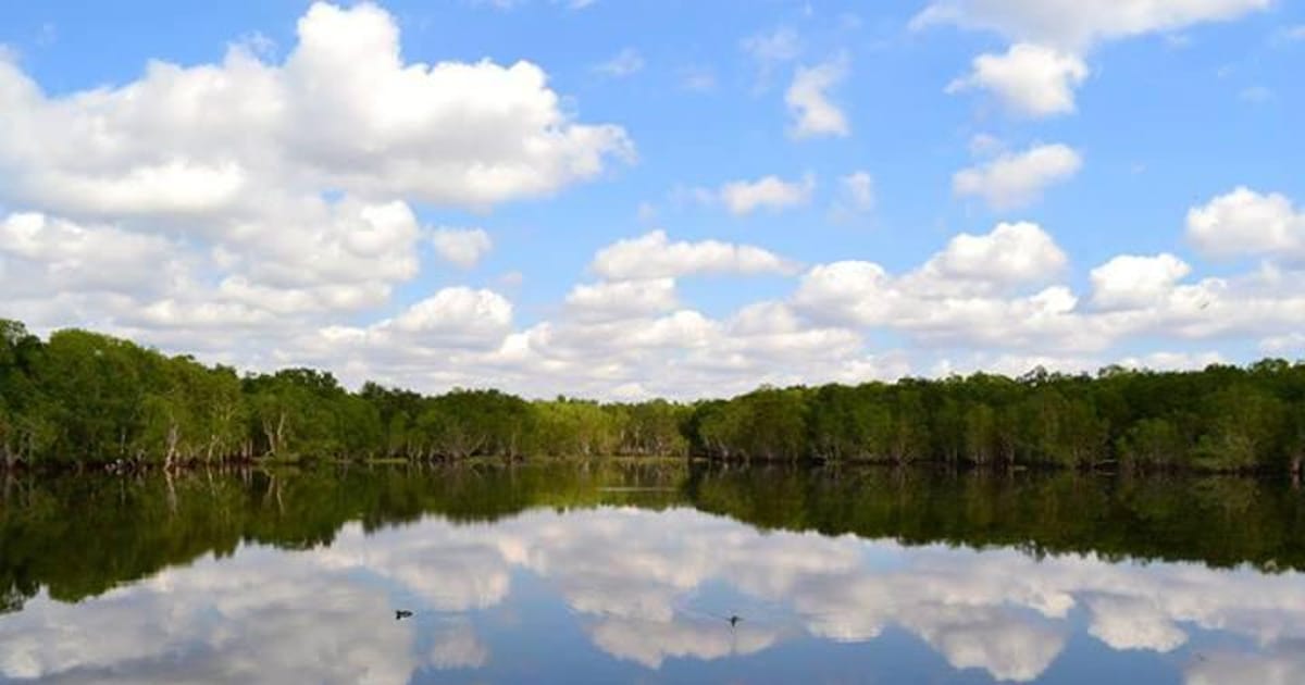 Paul Watkinson - Melbourne, Victoria, Australia, Clinical ...