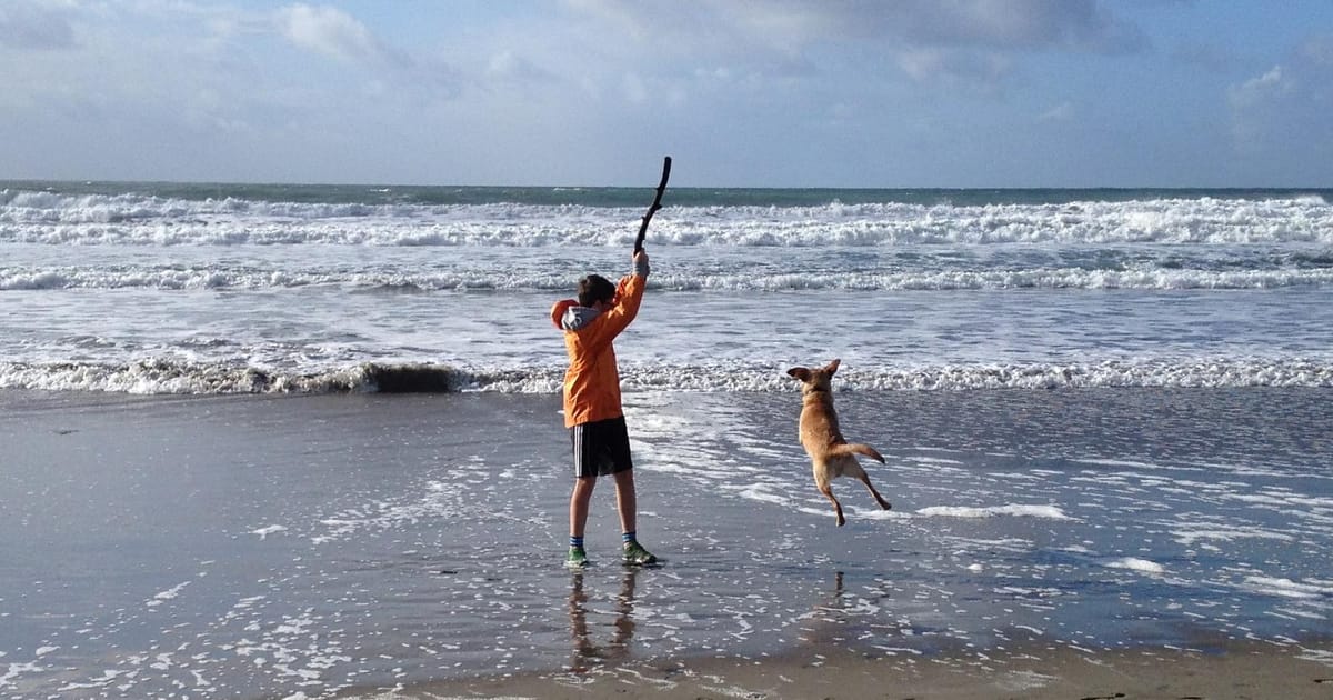 Patrick Callahan | about.me