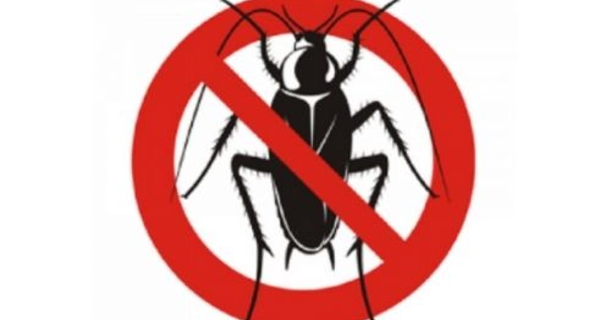Pest Control GTA Exterminator - Toronto, Ontario M2J 1Z3, Canada | about.me