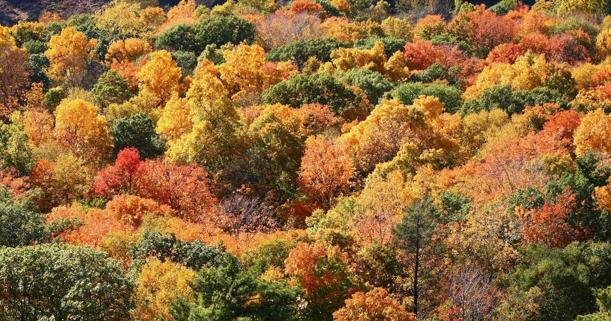 Peter Bouchard - Portland, Maine, falmouth, maine, Pioneer Telephone ...