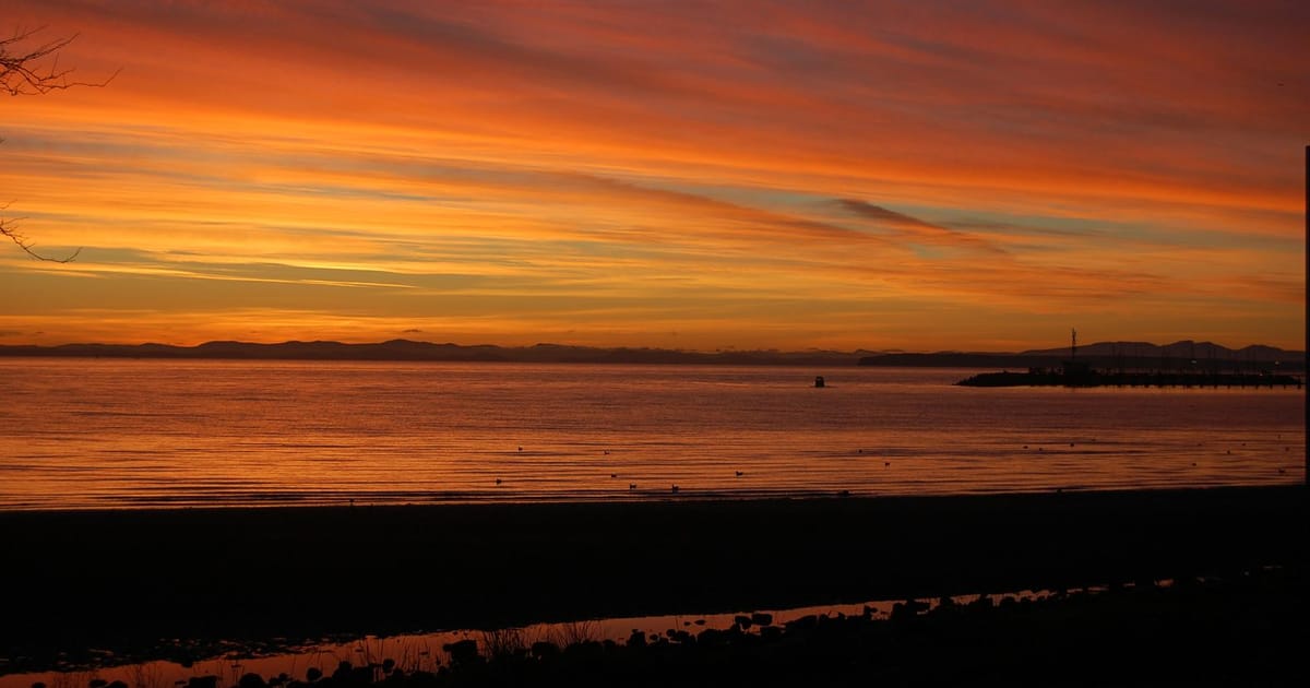 Peter Tremblay | about.me