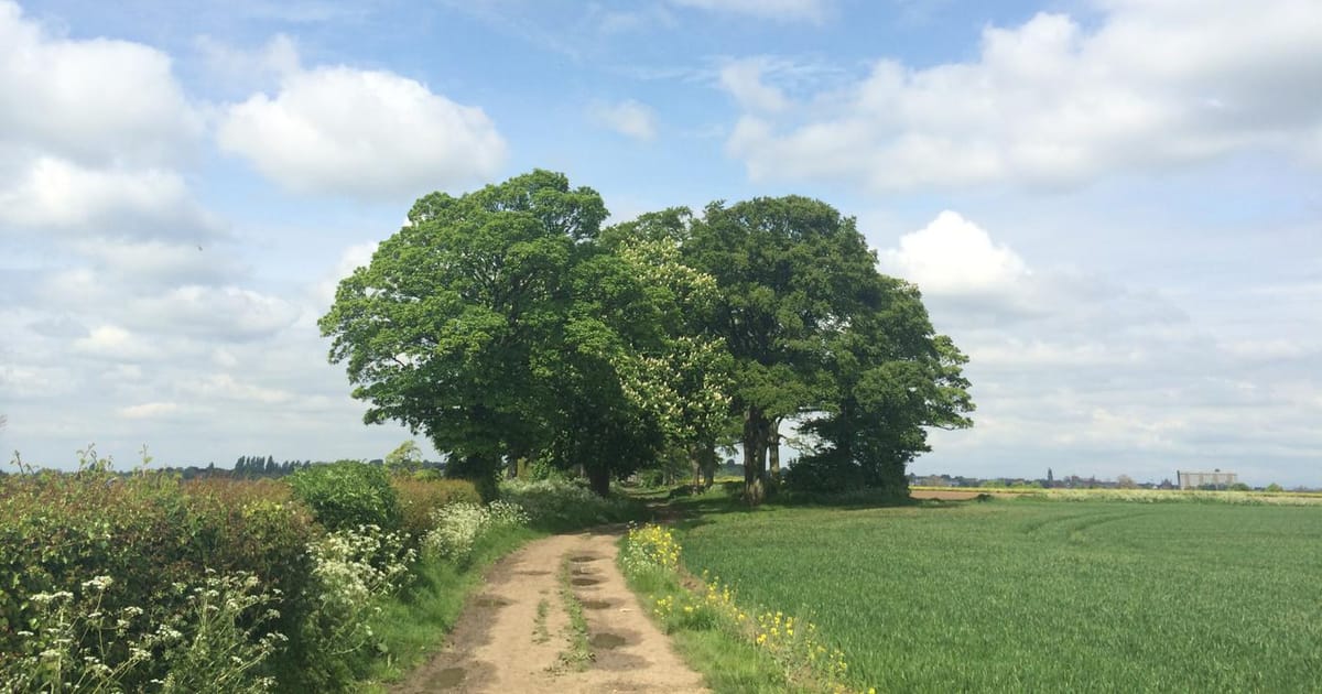 PHIL CROWTHER - Castleford, Freshinc Limited, Huddersfield University ...