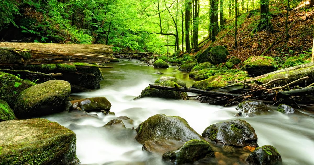 Michael Musgrove - Louisville, web design POP, University of Alabama ...