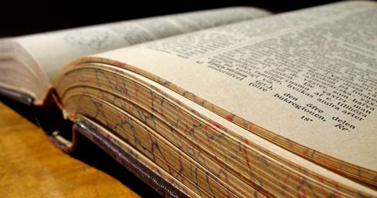 Proud Learner | about.me