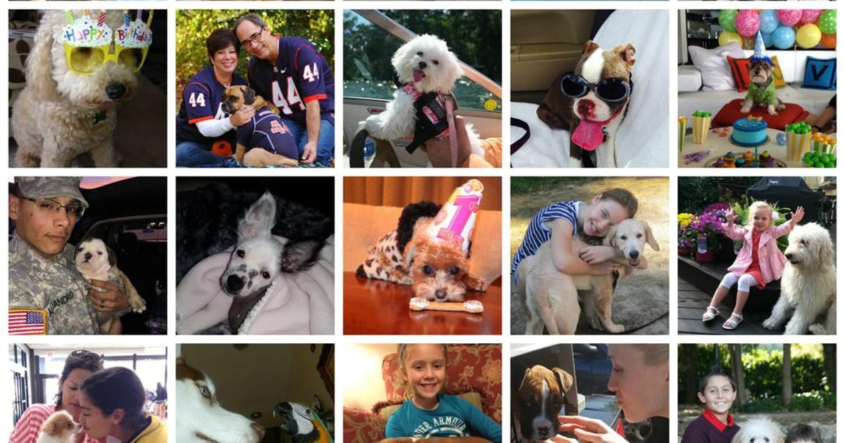 Purebred Breeders | about.me