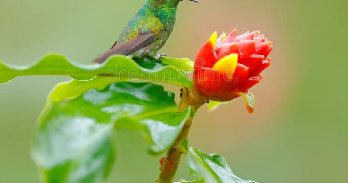 Reading Leaflet - USA | about.me