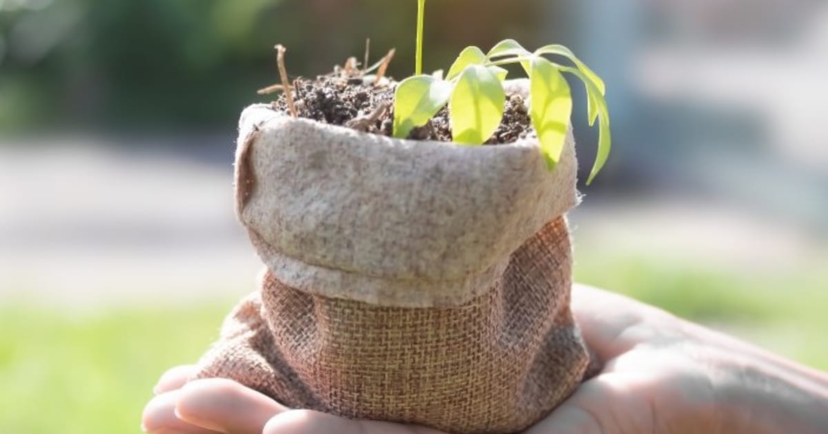 Receiving Pledge - New York | about.me