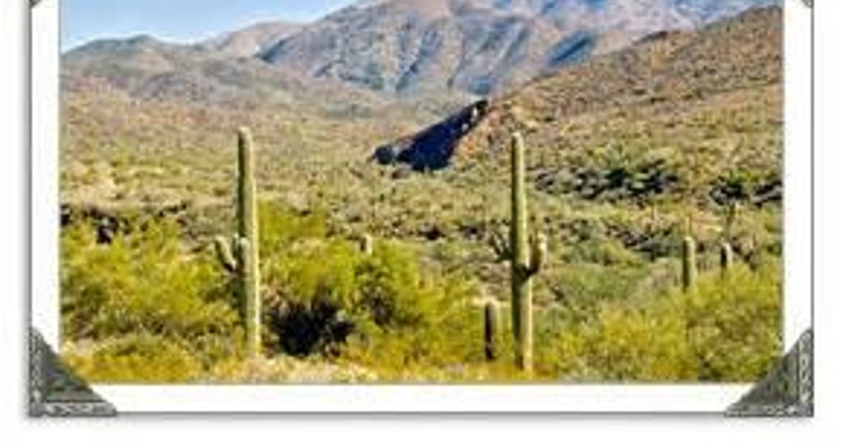 Red Racer Landscaping Kevin Ward - Vail, Arizona, Landscaping | about.me