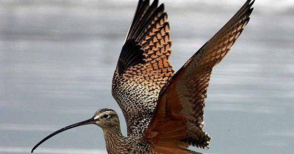 reem rabie - Sana'a, Promation Manager, Computer Science, Web Design ...