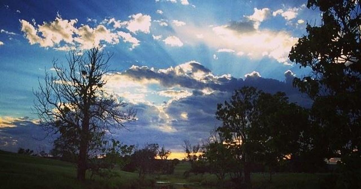 Regina Knott - Nacogdoches, Texas, Abilene, Texas, Independent, Etech ...