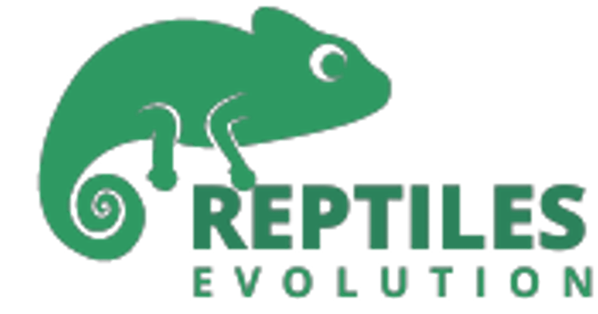 Reptiles Evolution - Alabama | about.me