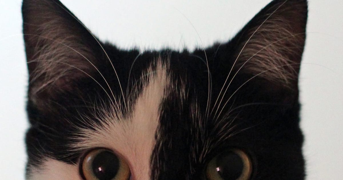 Julian Rizzuto - WALES | about.me