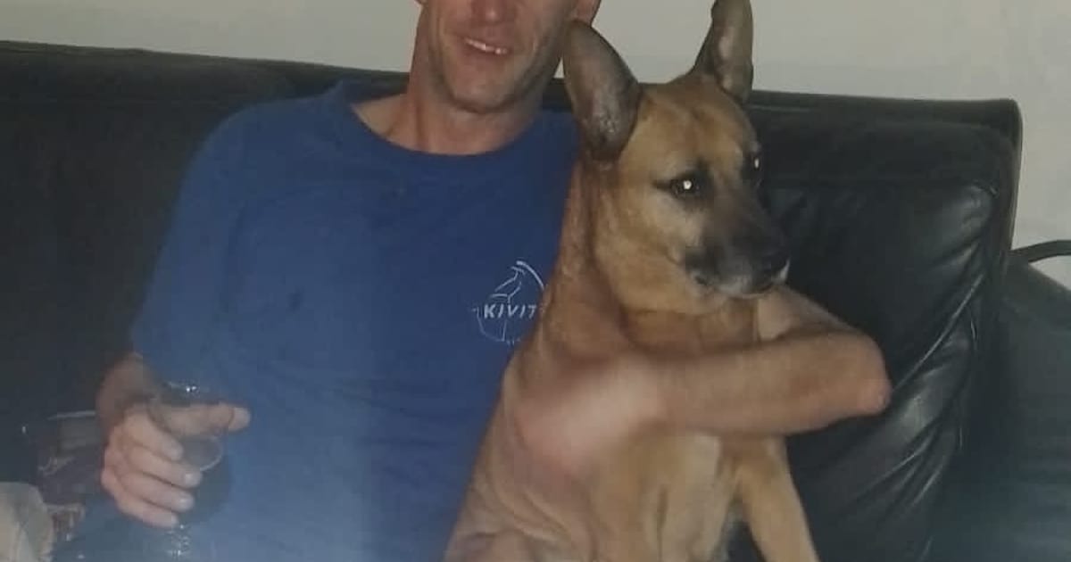 Robert Grafe - stein | about.me