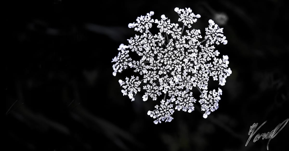 Robert Varnell - Houston, Texas, United States, Self-Emplyed - Licensed ...