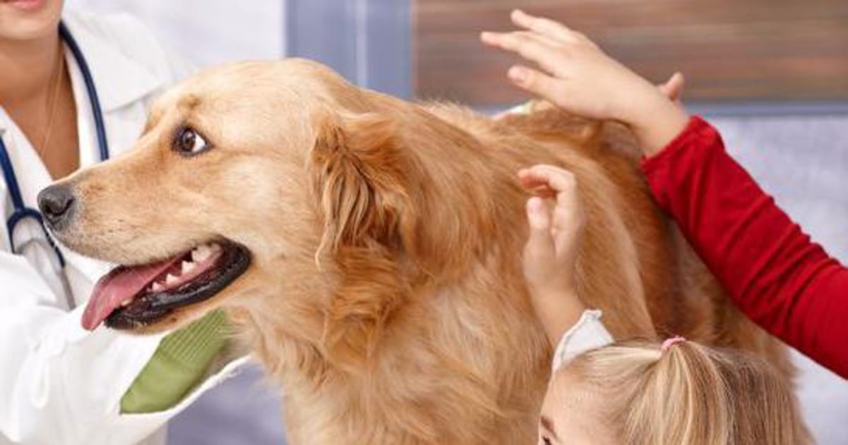 Robin Weiner | about.me