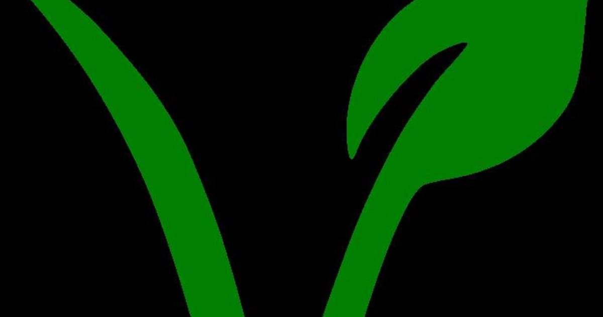 Robin McDaniel - Florida, Florida Atlantic University, Freelance ...