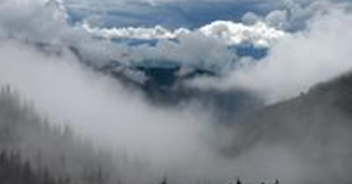 Roland Mitchell - 90061 | about.me