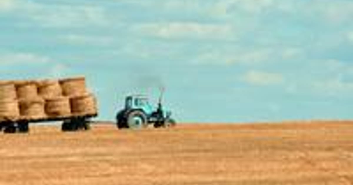 Roland Neal - 90023 | about.me