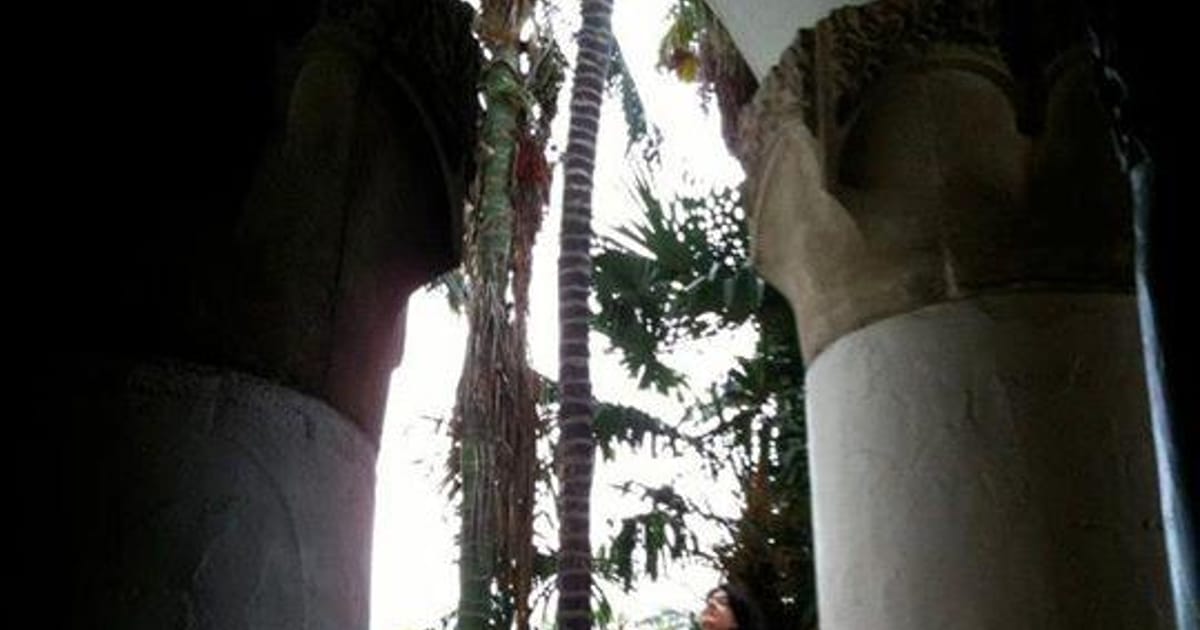 Rosemary Hancock | about.me