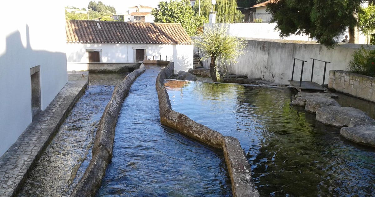 Rui Faustino - Coimbra, Coimbra, Portugal, Moviter - Movicortes Group ...