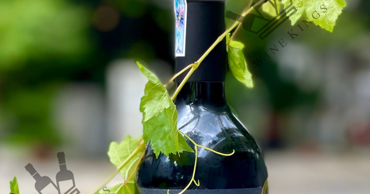 ruou vang winekings - viet nam | about.me
