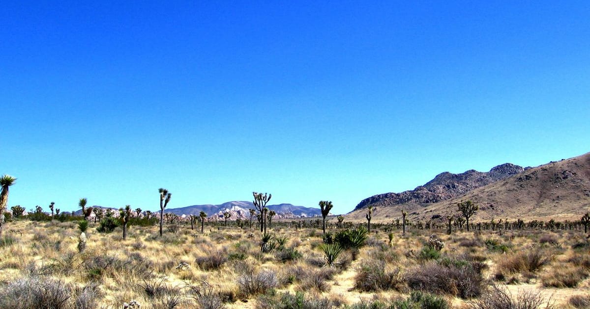 Stephanie Rust - Loveland, Colorado, Air Traffic Control Specialist ...