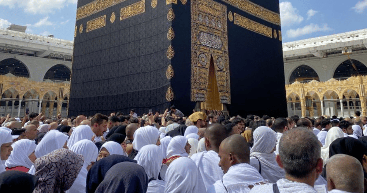 saad saad - 111 st | about.me