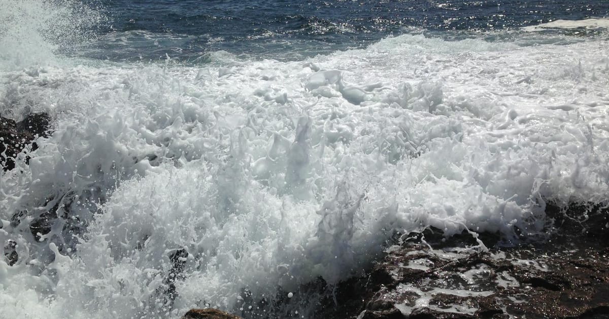 Sabrina Castaneda - Fountain Valley, California, Waitress at Cancun's ...