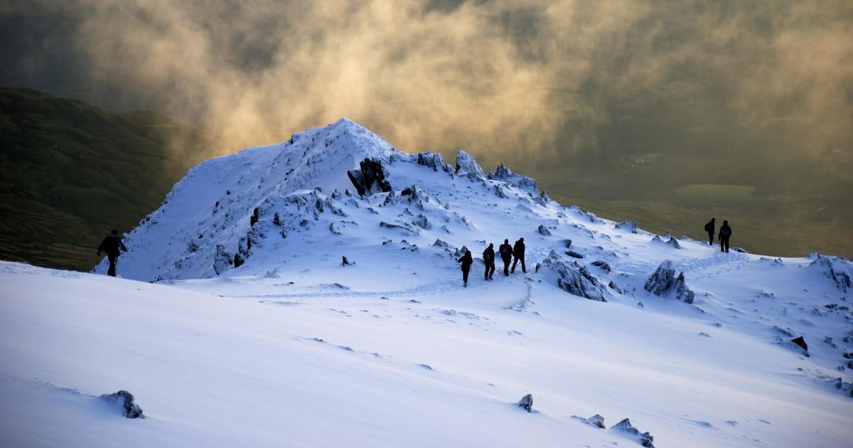 Sam Peckham - UK, OneSheep | about.me