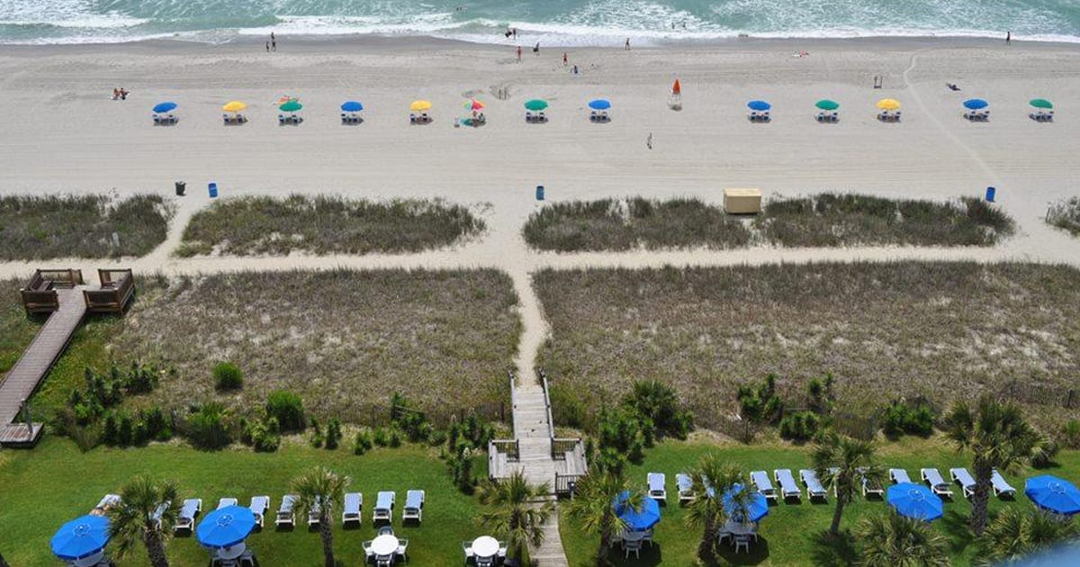 Sandra Bundy | about.me