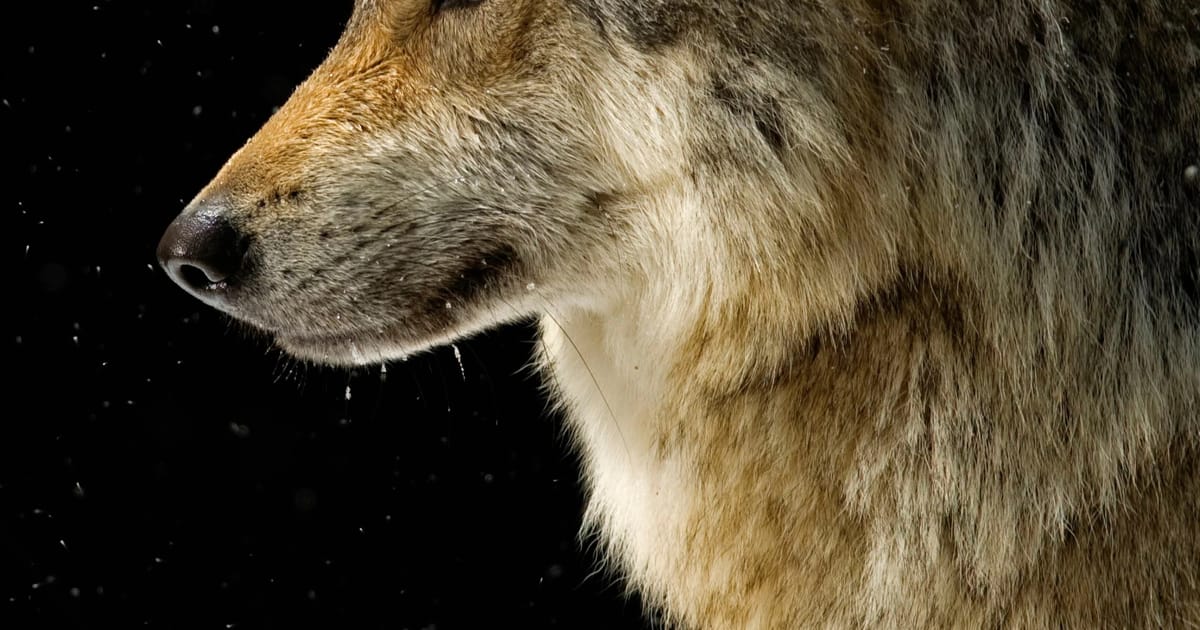 Michał Ebłowski - Poland | about.me