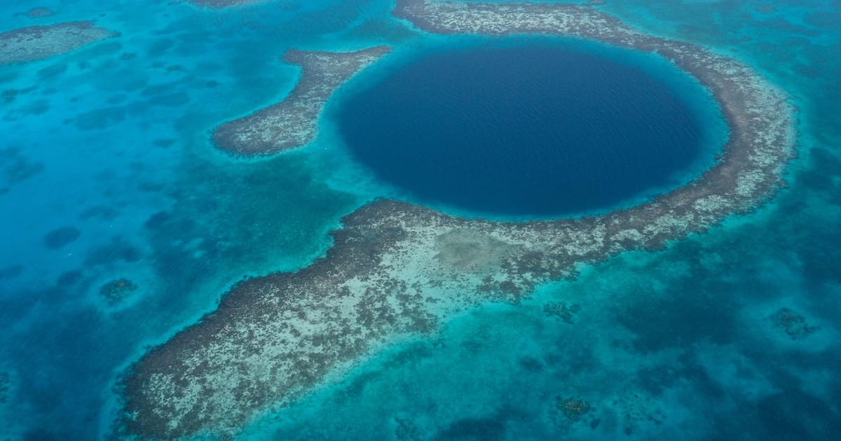 Scott Mallick | about.me