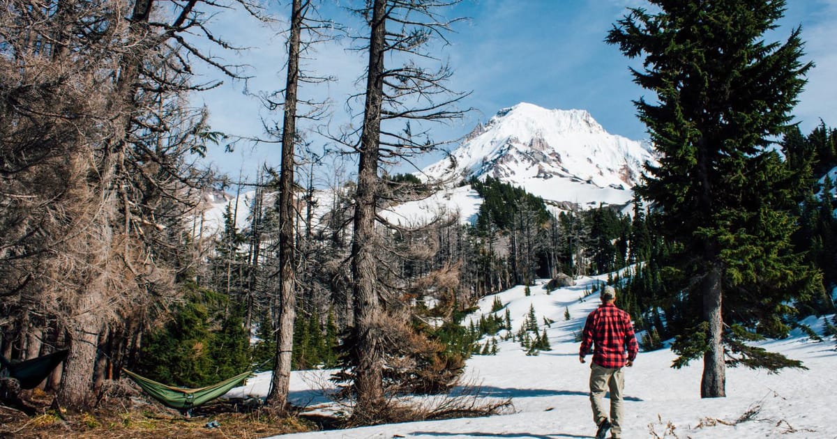 Scott Rousseau - Portland, OR, ETZEL Agency, University of Oregon ...