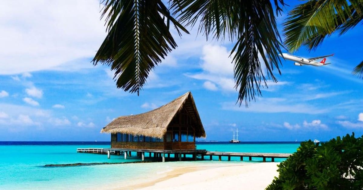 MARIAN TULEA - bucuresti, bucatar, liceu | about.me