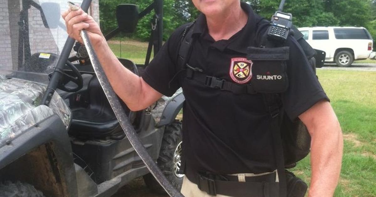 Sergeant Mike - Jungle Warfare School, Fort Sherman, Panama, Desert ...