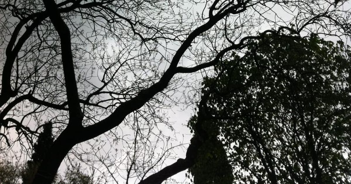 Sevgi SABANCI | about.me