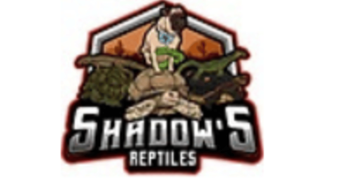 Shadow's Reptiles - Miami, FL 33177, USA | about.me