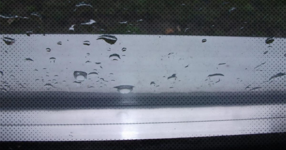 Shaun Bloom - Hamilton, Ontario, Canada, Primary School, Secondary ...