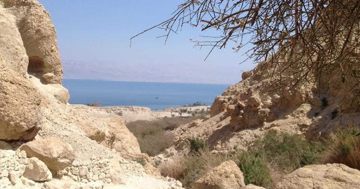 shay m - Hebrew Uni, Ben Gurio | about.me