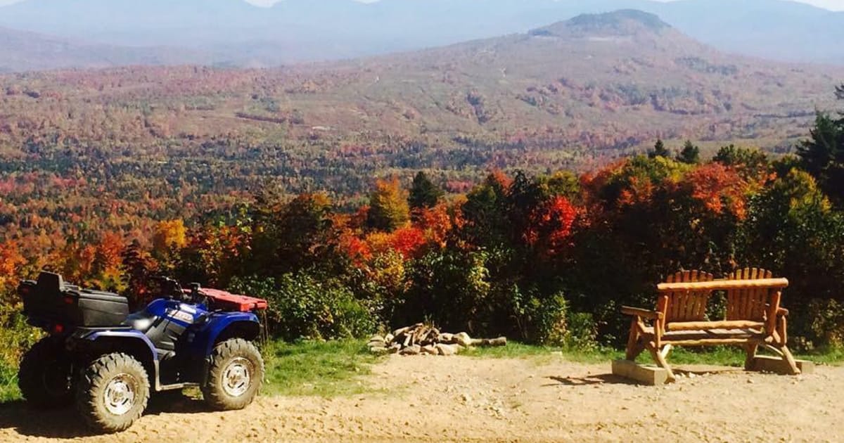 Sheila Clark | about.me