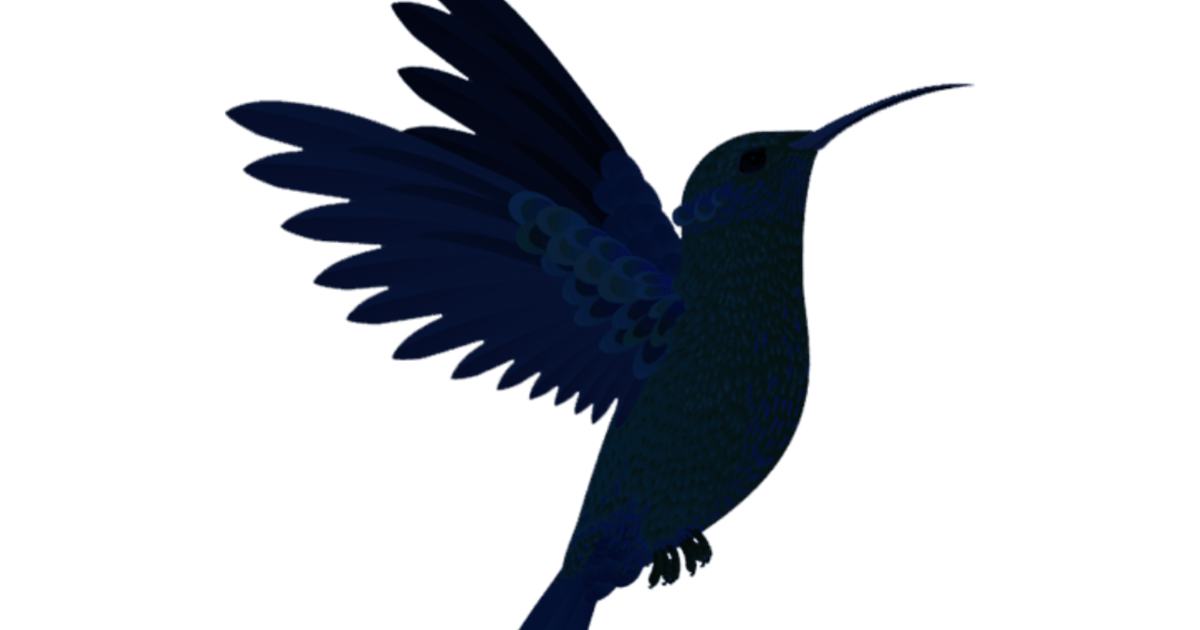 SMM Birds - Delta State, Nigeria | about.me