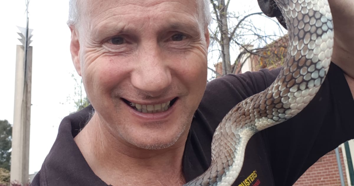 snake catcher - Australia | about.me