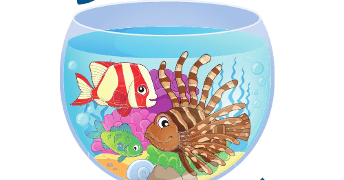 Eric Toth - 24 Gaston St Asheville, NC 28801, USA | about.me