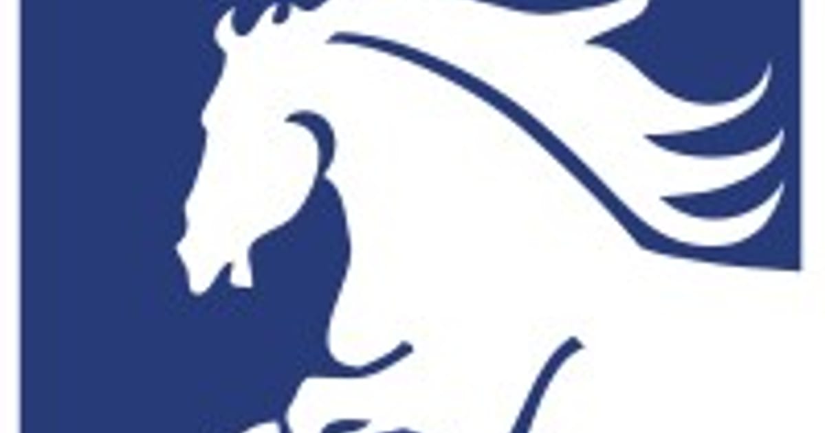 Stallion Textile - Karachi, Pakistan | about.me