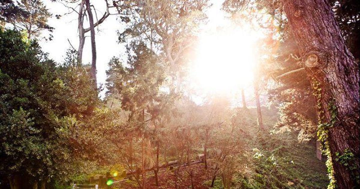 Stanislaw Wolf - Illinois, Bachelor of Science | about.me