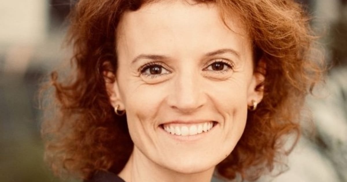 Stephanie Meily - Brussels, Progress Communications BE, Master's degree ...